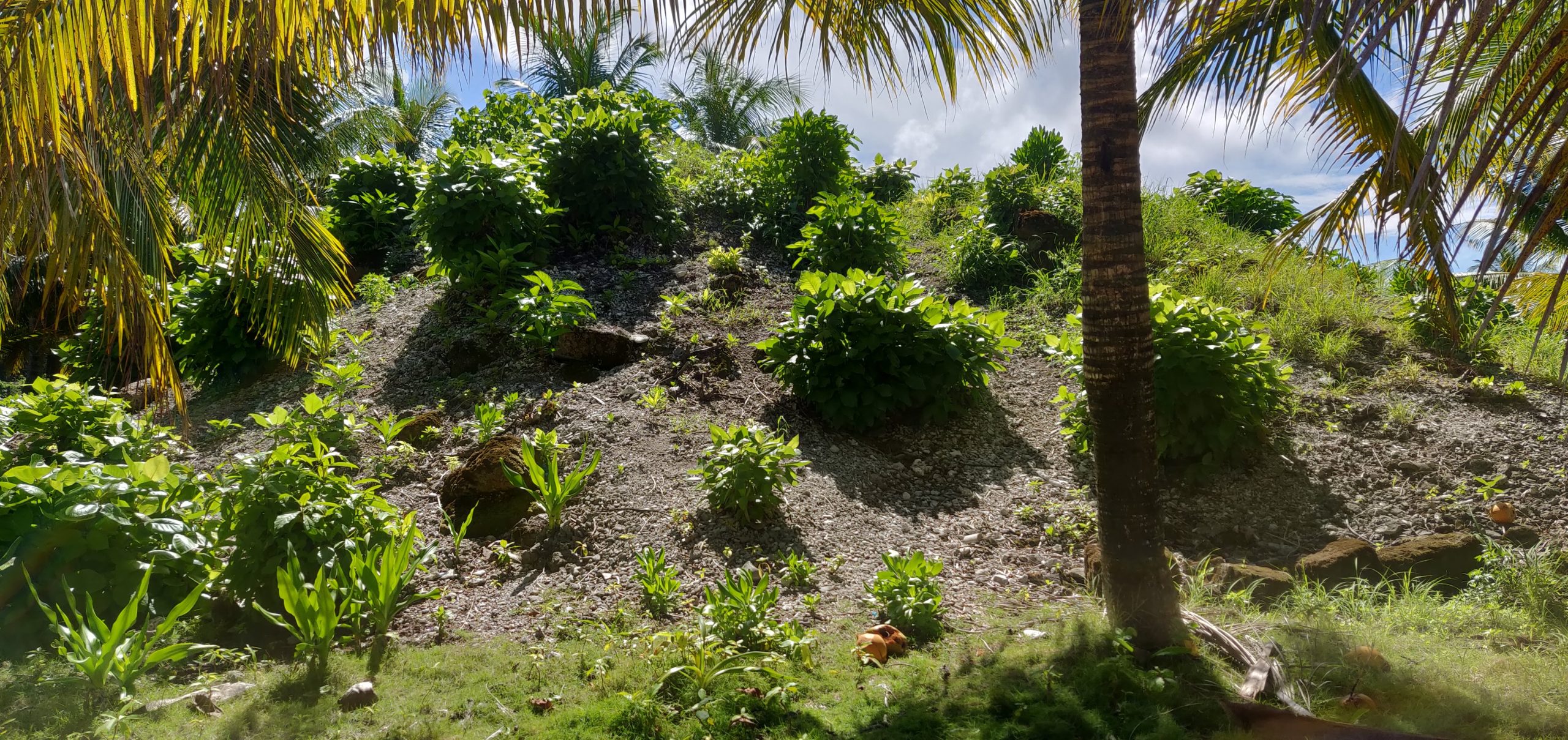 Havihtha - Fuvahmulah City